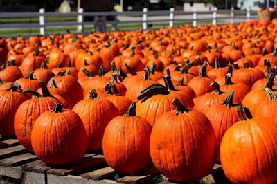 get the words out: inspiration thursday (orange)