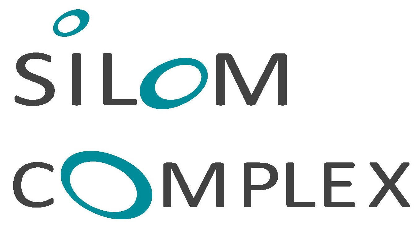 identity: NEW SILOM COMPLEX LOGO