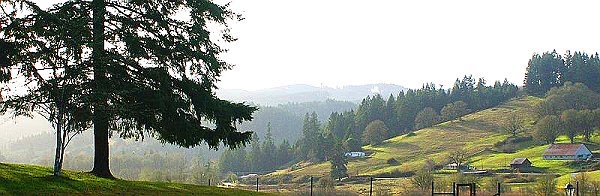 Travels with a Muse: Sylvan Ridge - Another Plein Air Show