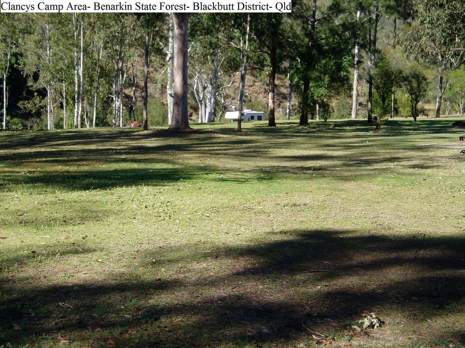 Nannapop Queensland Return to Main Site: 27th August 2010 - Clancys ...