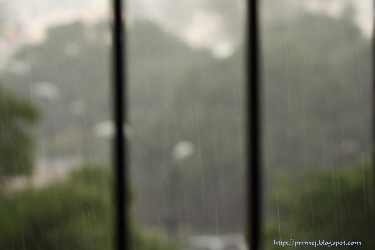 Prime Photos: July 2010