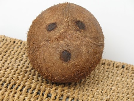 The World´s Tree Species: Coconut Face