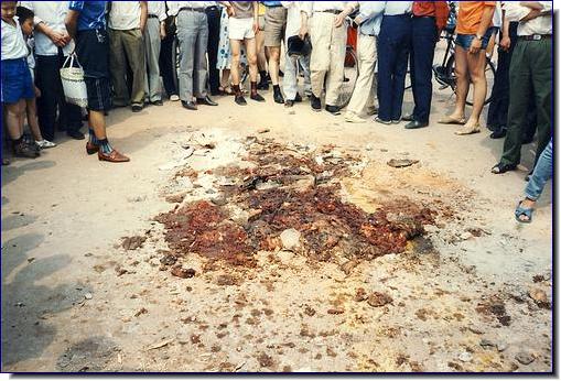 ILLUSTRATED HISTORY: RELIVE THE TIMES: Images Of War, History , WW2 ...