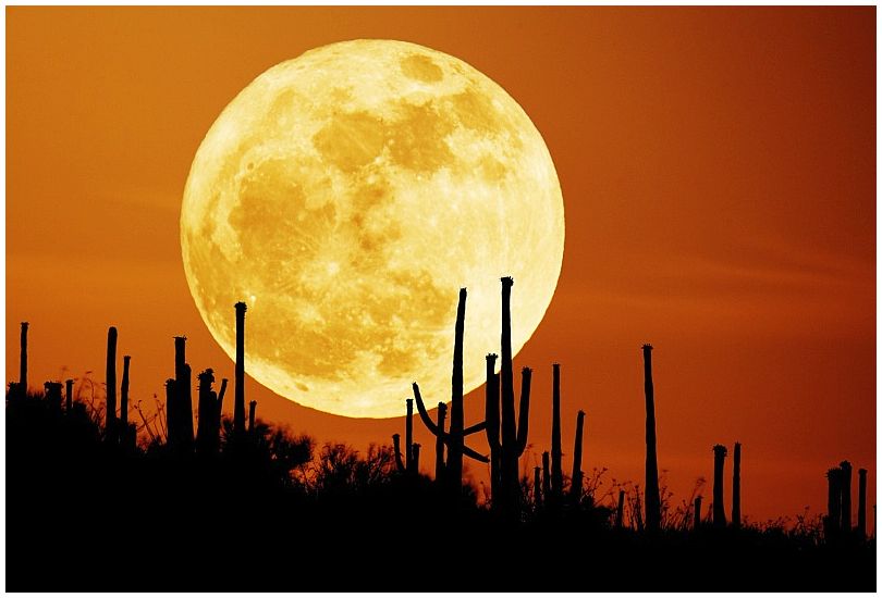 BEAUTIFUL NATURE PICTURES "Nature Heals The Mind": NATURE IS BEAUTIFUL ...