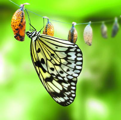 Marinduque Rising: Bila-Bila and Romeo Lumawig of Boac