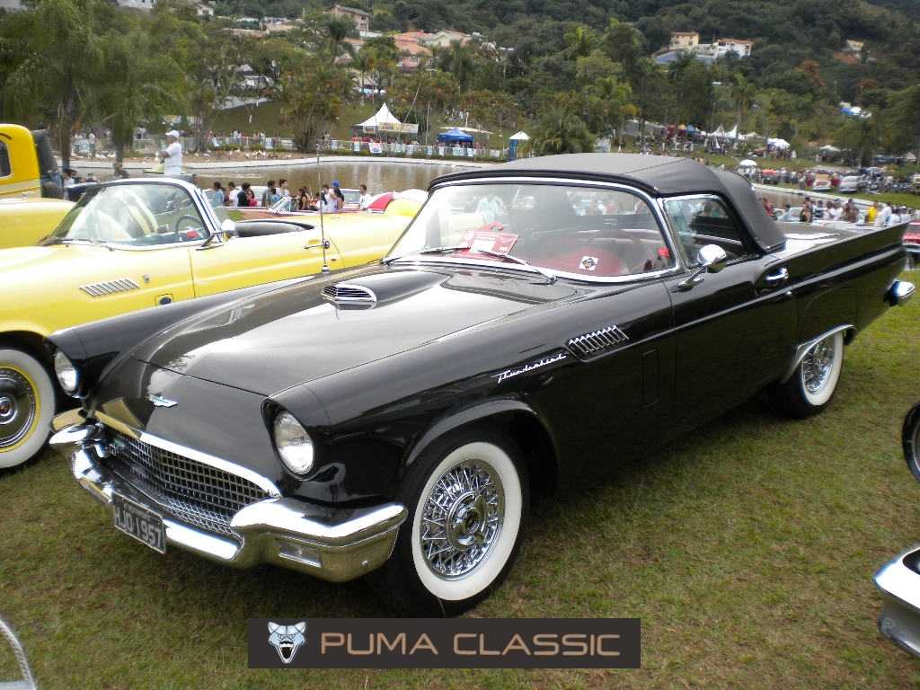 Puma Classic: Lindoienses (7)