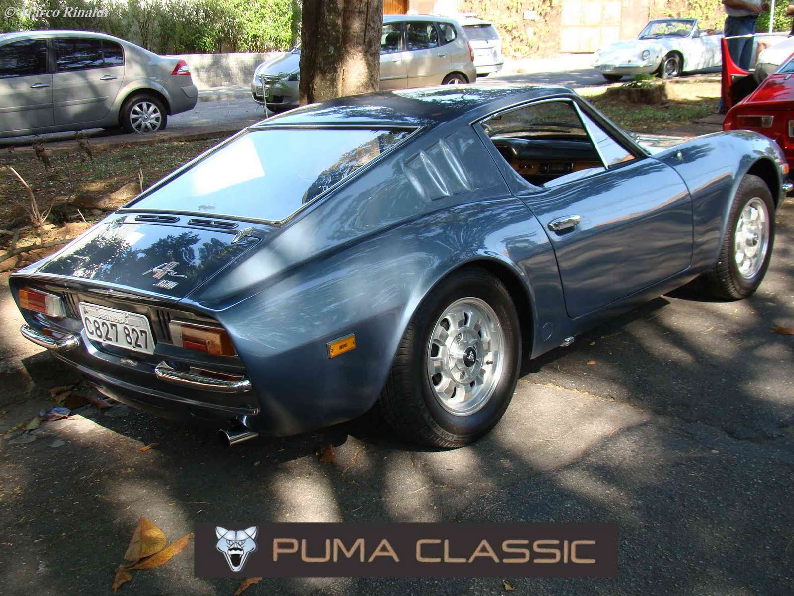 Puma Classic: The Best of Puma (1)