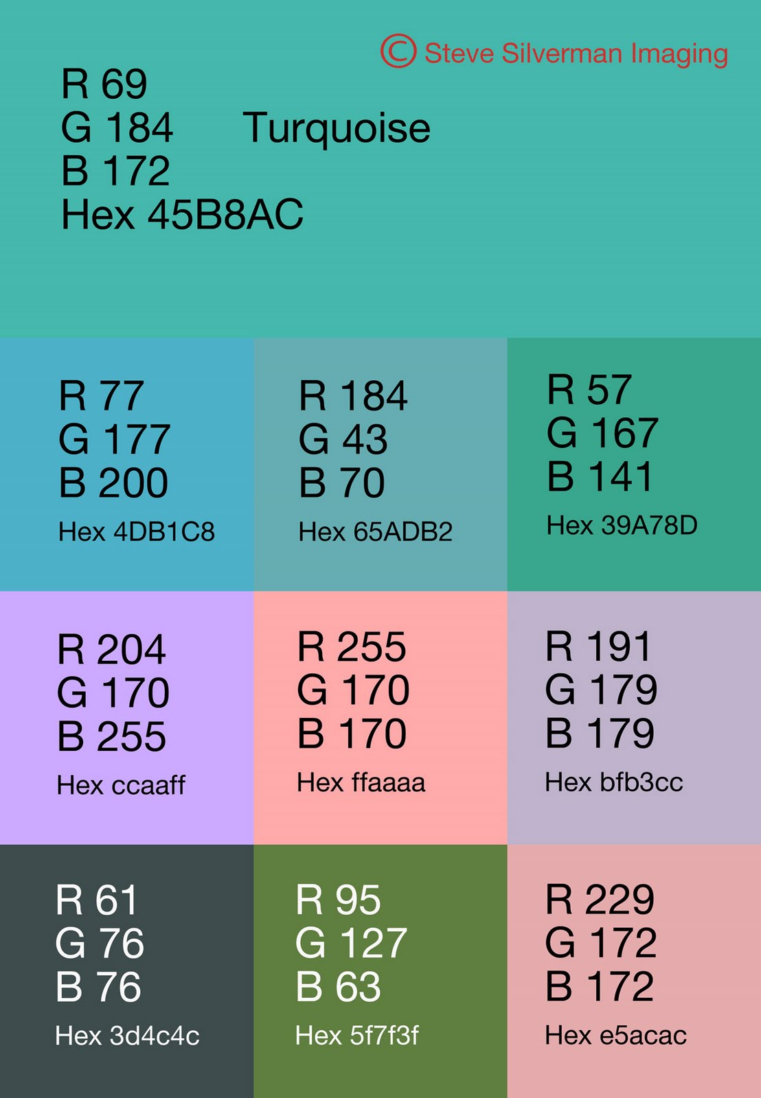 Steve Silverman Imaging Pantone Color Of The Year
