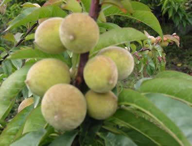 TURISMO CEVALLOS: Turismo en Cevallos