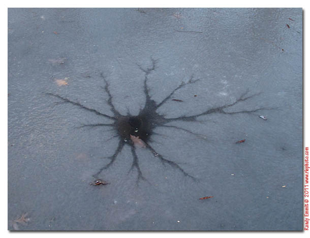 Randy & Meg's Garden Paradise: Ice Spiders!