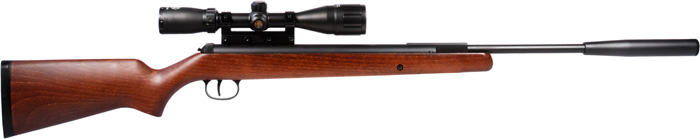 HOBBY IMPORT: Diana RWS 34 Meisterschutze Pro