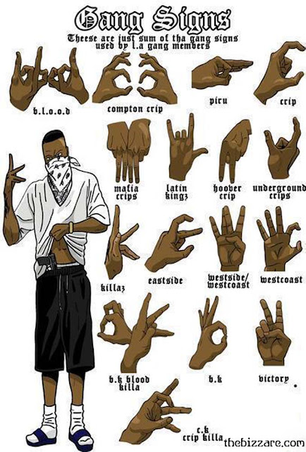 Pjota Blog: gang signs homie!