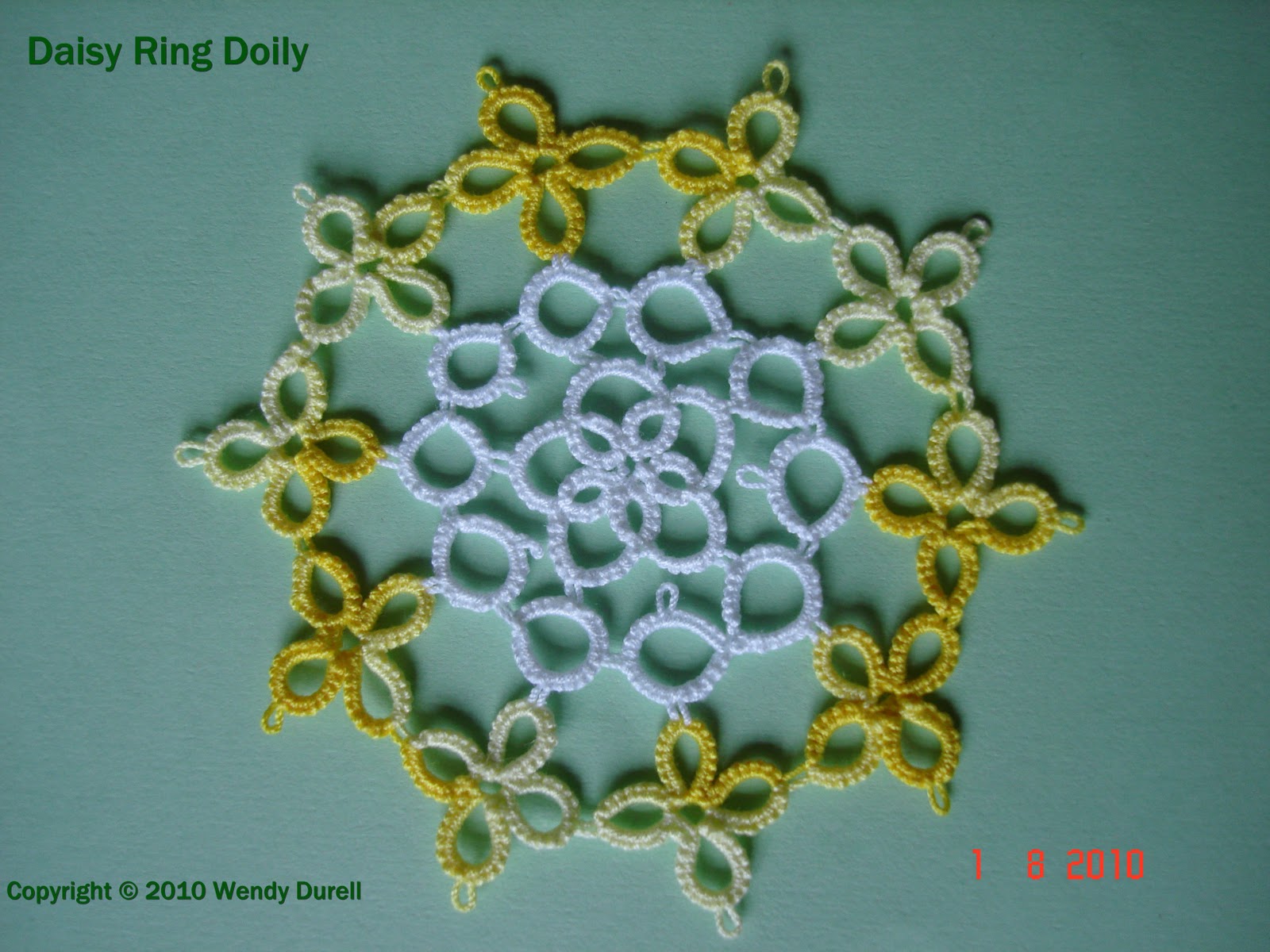 Wendy Tats: Yellow Daisies