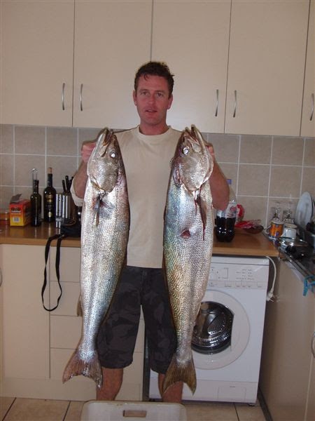Coatesman's Spearfishing & Waterman's Blog: Andy's Geelbek and Snoek ...
