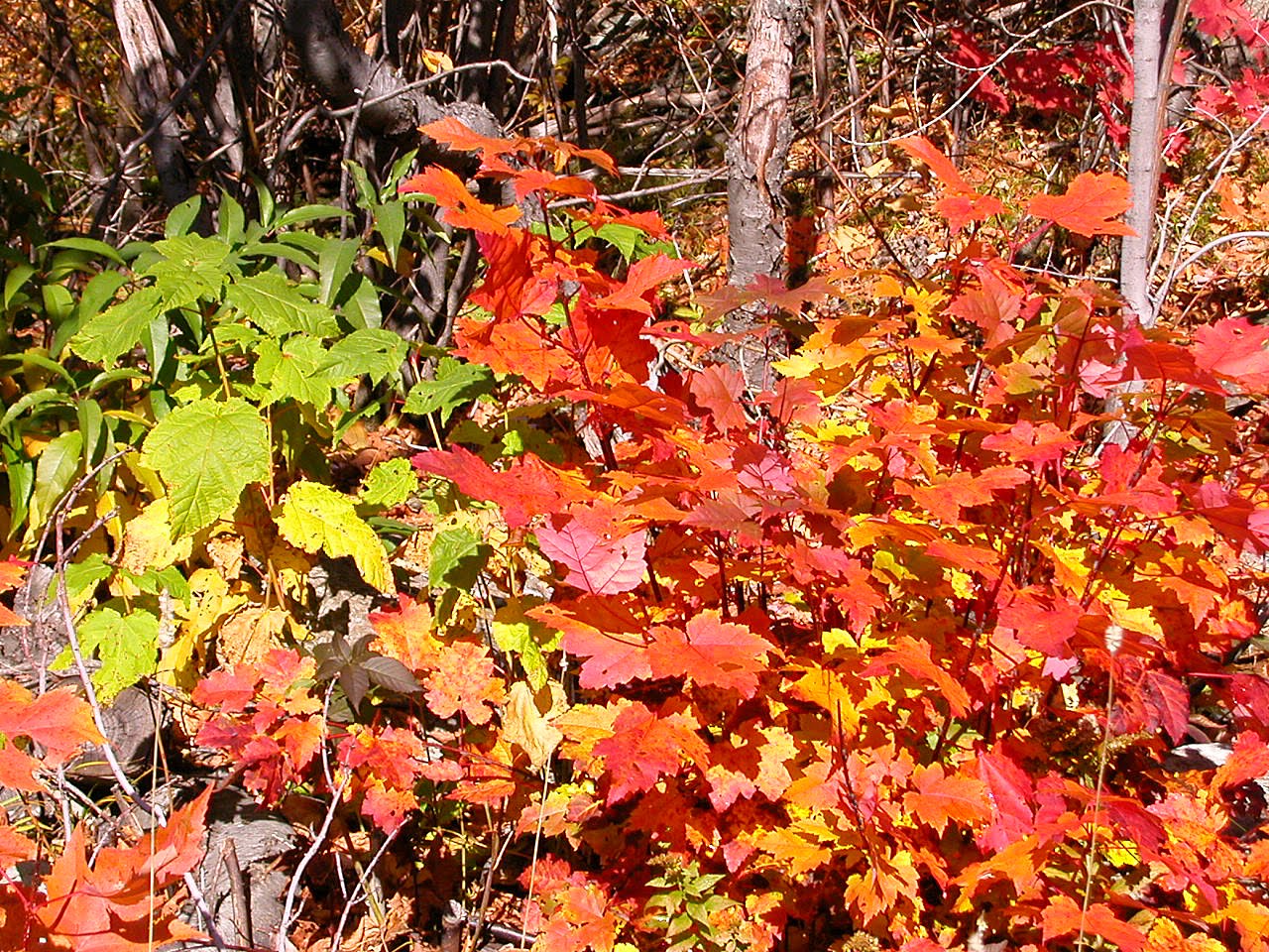 The Shade Shop: Ch-ch-ch-ch-changes.....