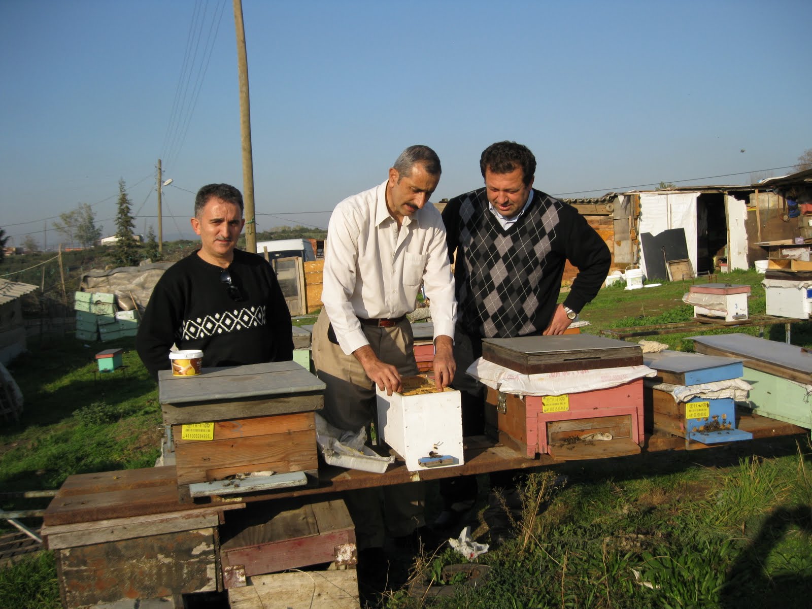 Arıcılık Bilgi Merkezi » Blog Archive » 26 KASIM 2009 ARİFE, YARIN ...