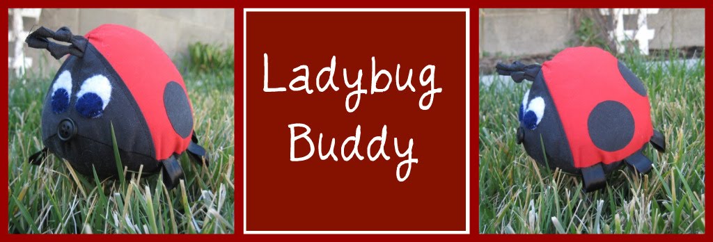 Craft with Confidence: Ladybug Buddy Tutorial (bug 2 of 3)