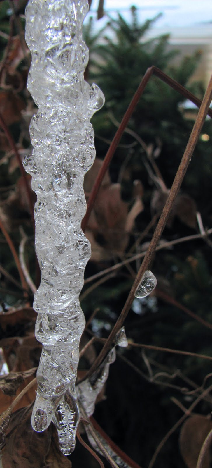 Foulkeways and Beyond: Icicles