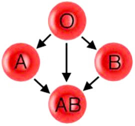Deepak: Blood Groups Types Explained