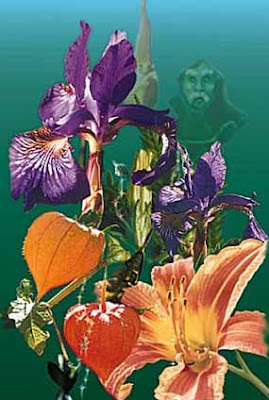 Sai's Elite: Nature Spirits ~ Devas ~ Elementals ~ Trees