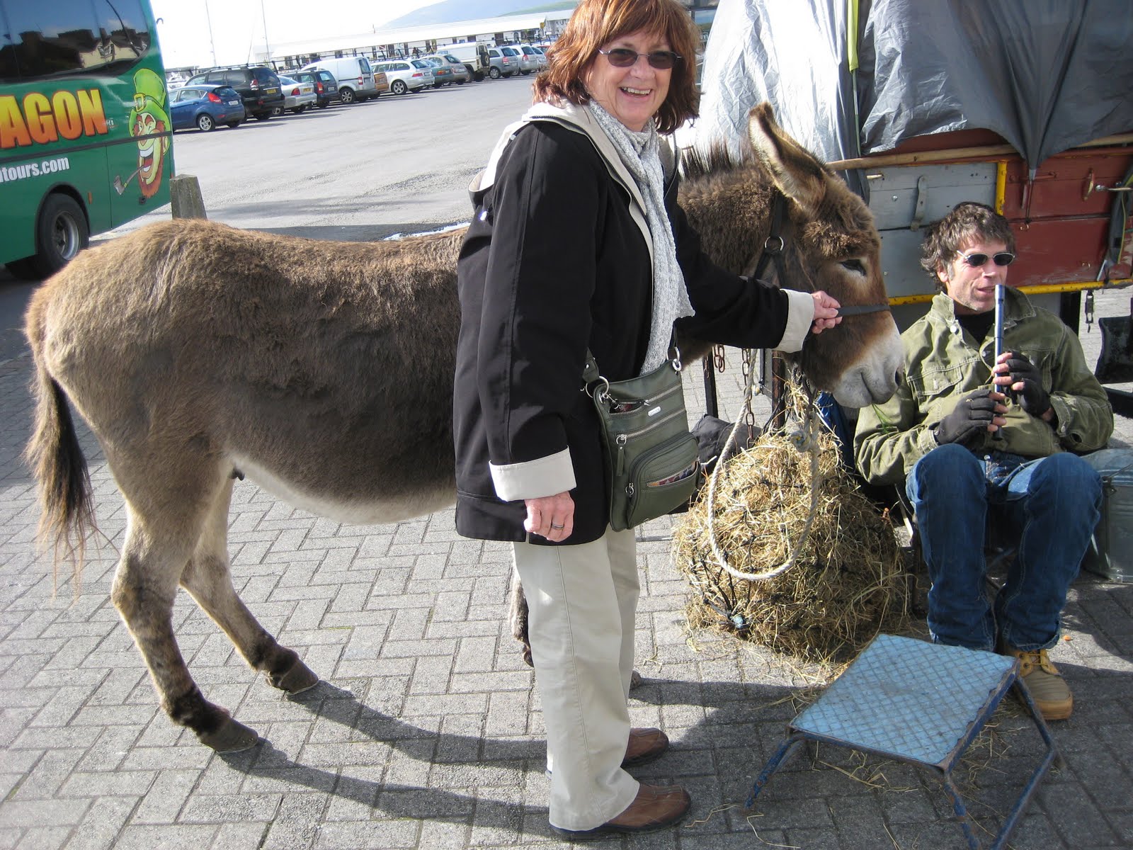 HOLIDAYS in IRELAND: Dave Hogan's Chauffeurdrive service Ireland West