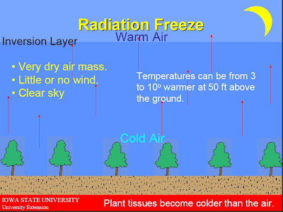 Piña Napa Valley: Wind Machines 101