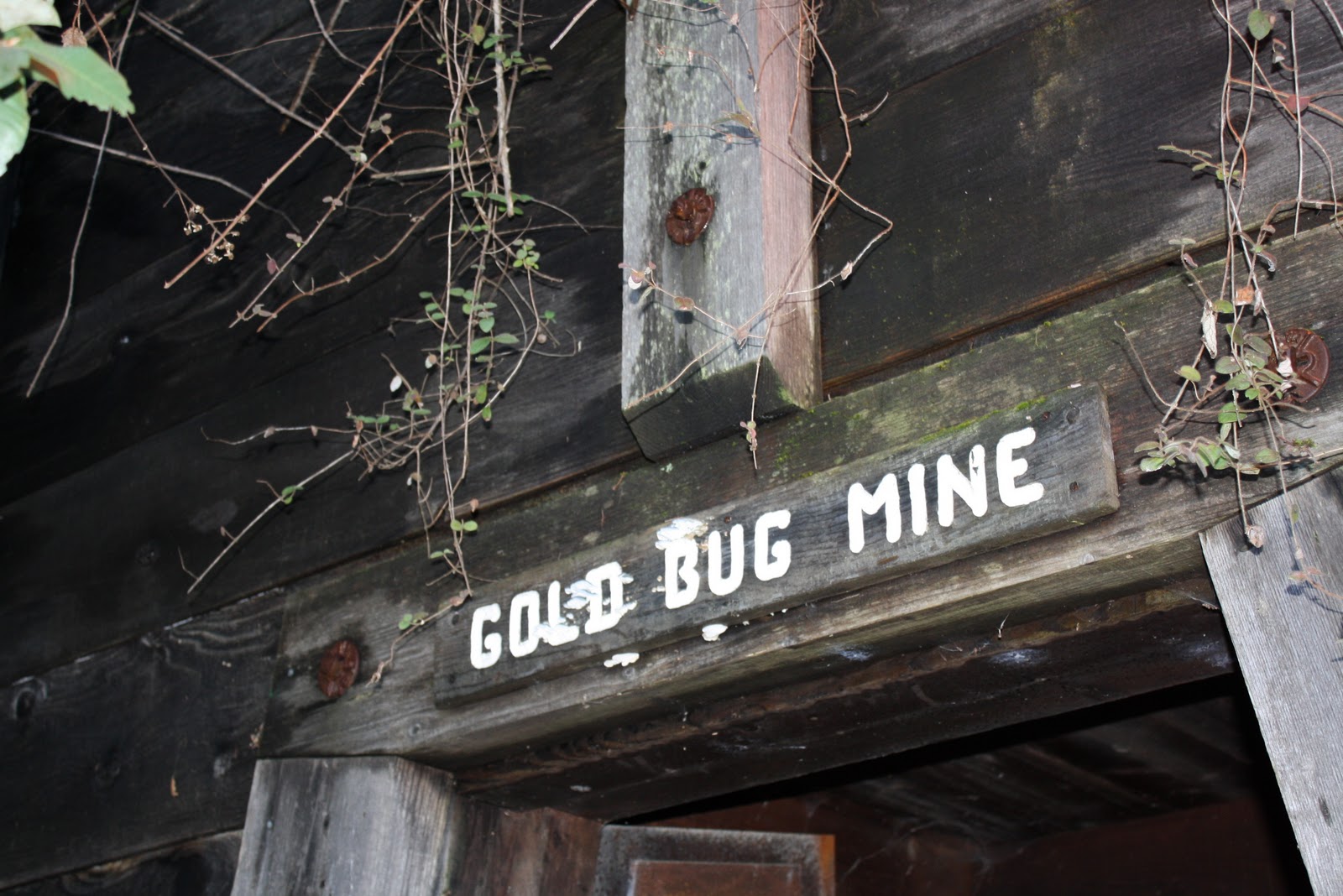 Weekend Adventures: Gold Bug Mine & Marshall Gold Discovery State ...