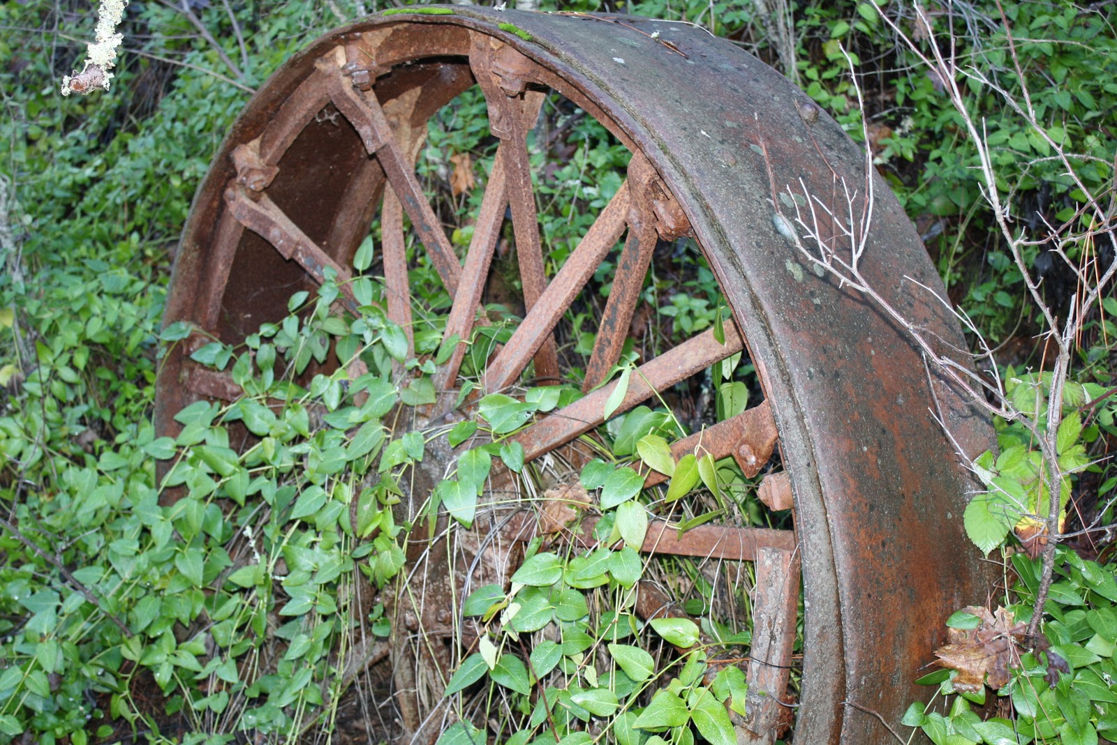 Weekend Adventures: Gold Bug Mine & Marshall Gold Discovery State ...