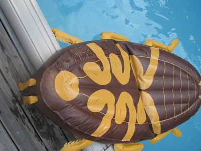 The Birdhouse: giant roach