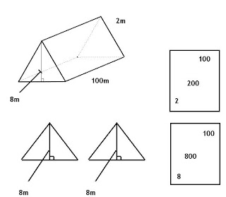 817 Math (2009): Surface Area Growing Post
