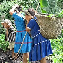 RISARALDA Tejiendo un Futuro - Weaving a Future: EL DISENO EN LOS ...