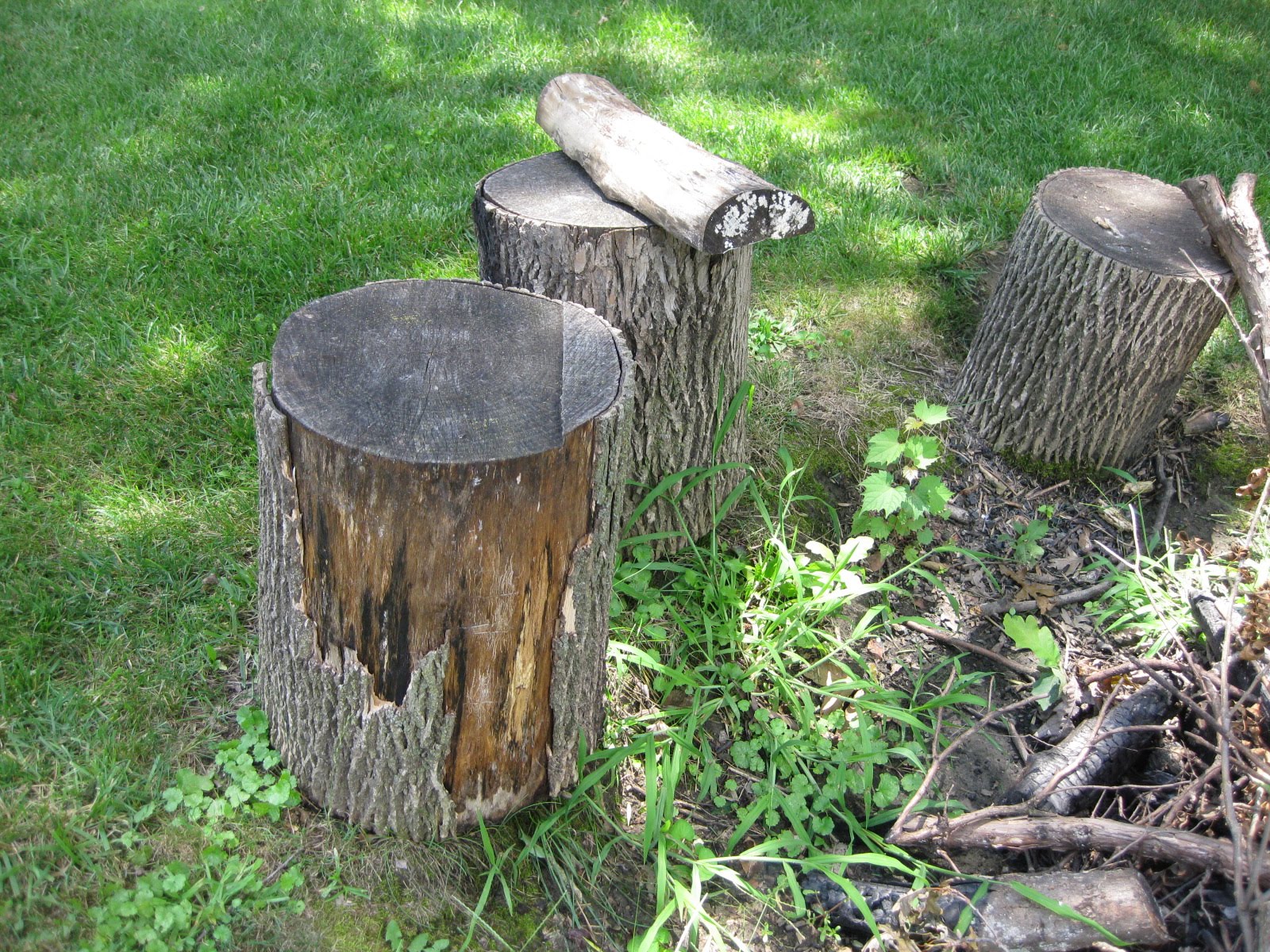 Henrietta's House: Tree Stump Side Table