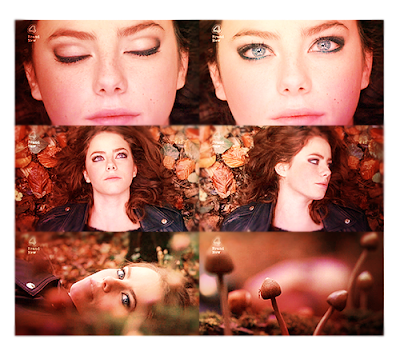 The Little Black Dress: Effy