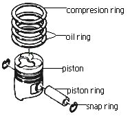 Pena piston ( Pin Piston )