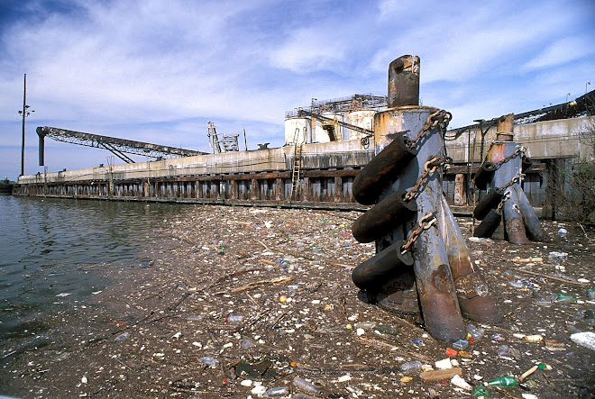 Global Contamination: Major forms of pollution and major polluted areas