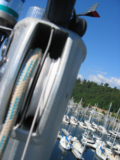 Sailing Frog Prints: Preparing for the Journey - Masthead Sheaves