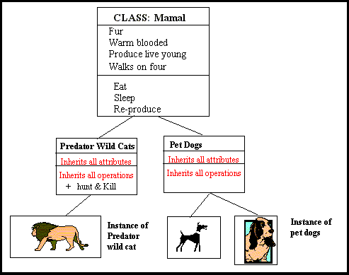 Tugas Algoritma dan Pemrograman: Pengenalan OOP