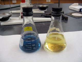 Novak Science: Chemistry Blue Bottle Rxn