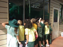 Discovery Centre at Streeton Primary School