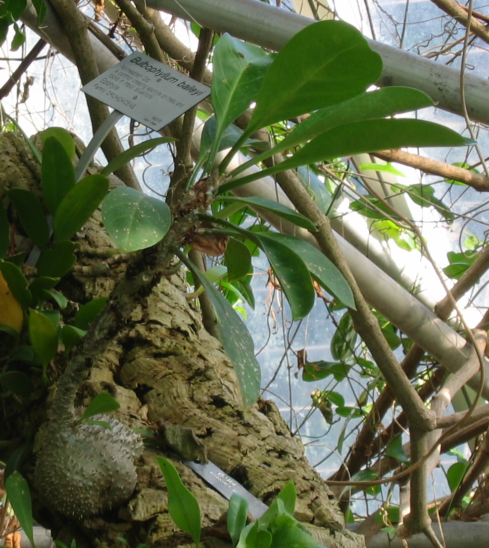 Welcome to the Ant House