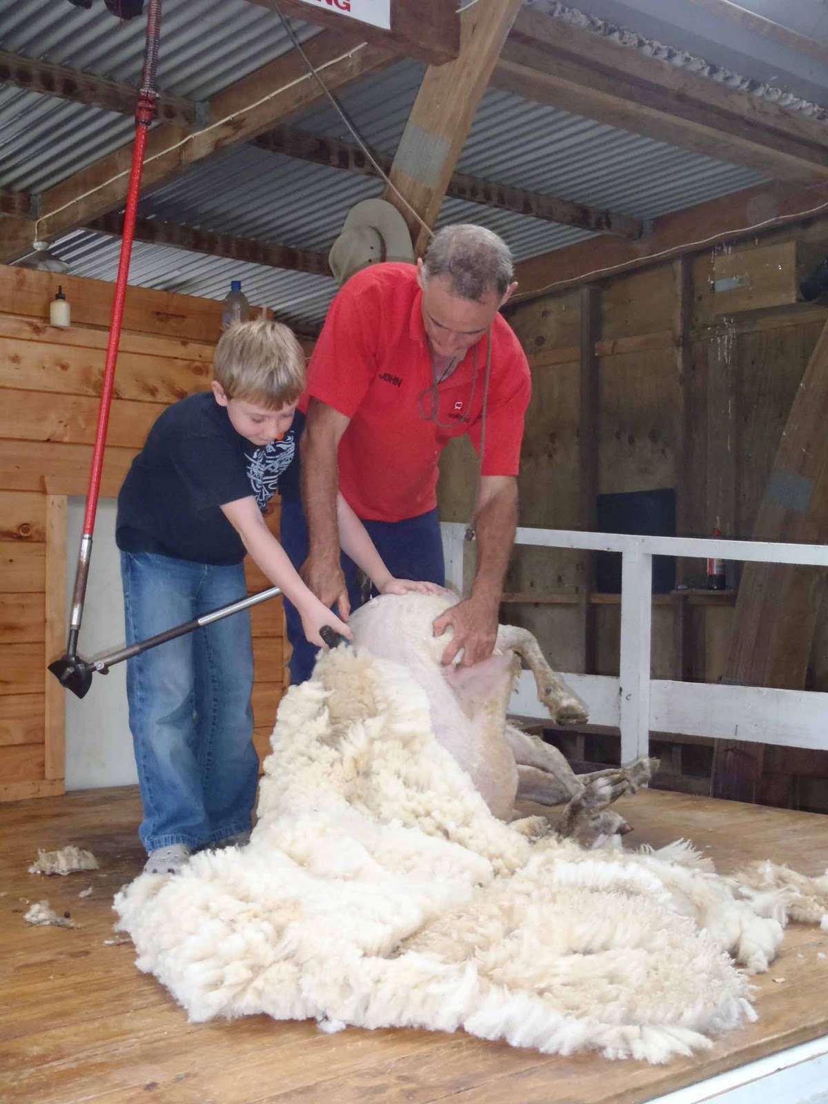 Cruising with Oso Blanco - Nordhavn 6409: Sheep World