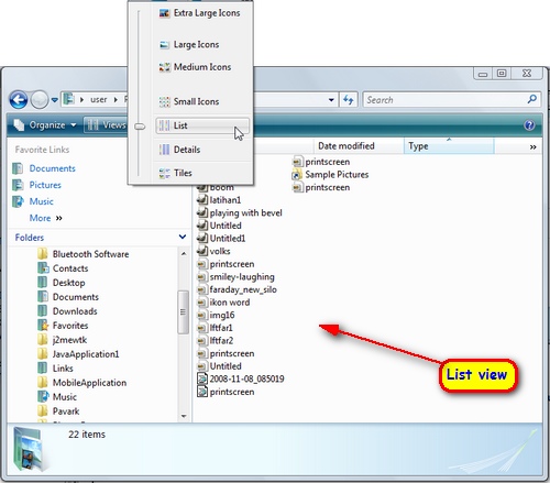 Information & Tutorial: Learn Vista - Ways To View Files and Folders