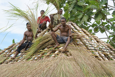 Rabaul Daily Photo: Kunai Grass