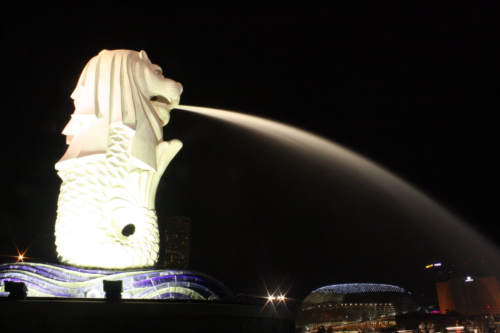 Sight Beyond Sight: The Spitting Lion
