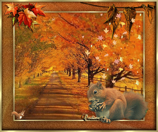 un peu de tout: L'Automne