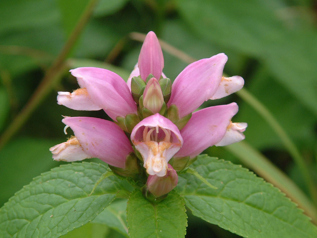 Best Things in Beauty: The Friday Forum - September 17