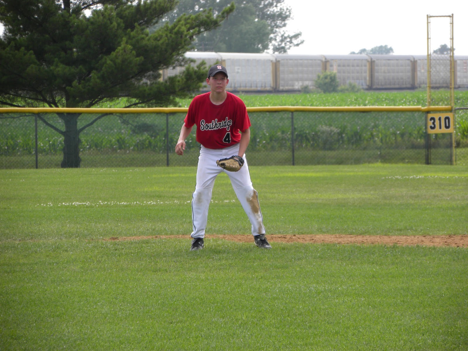 The Harter Family Blog