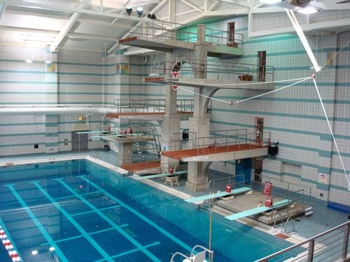 Live to Dive: Types of diving boards