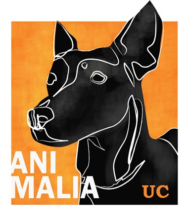 diseño/ilustración: Logo ANIMALIA UC
