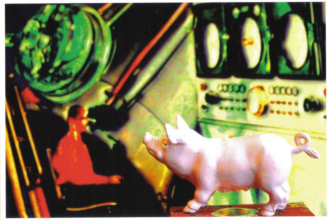 JULII RACING: PORCO REX (2007)